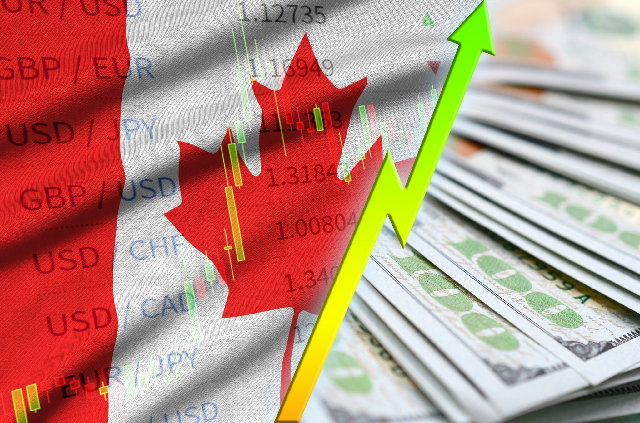 The Individual and the Economy